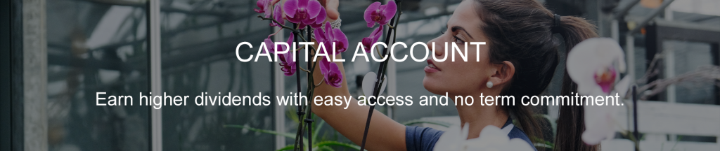 Capital Account :: Rhode Island Credit Union
