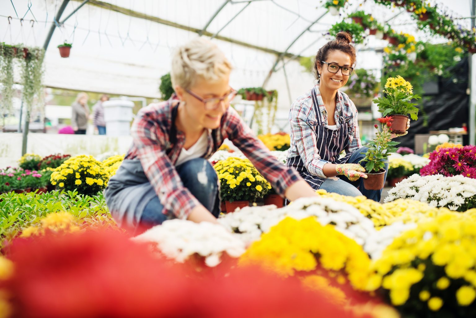 Credit Cards :: Rhode Island Credit Union